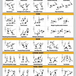 16 Pack - Exercise Workout Poster Set: Dumbbell, Suspension, Kettlebell, Bands, Medicine Ball, Battle Rope, Stretching, Bodyweight, Barbell, Yoga, Exercise Ball (PAPER - NOT LAMINATED, 18" x 24")