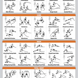 16 Pack - Exercise Workout Poster Set: Dumbbell, Suspension, Kettlebell, Bands, Medicine Ball, Battle Rope, Stretching, Bodyweight, Barbell, Yoga, Exercise Ball (PAPER - NOT LAMINATED, 18" x 24")