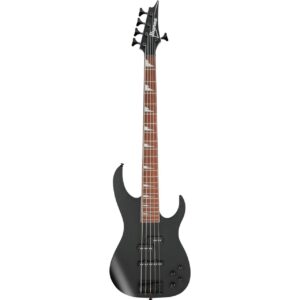 ibanez rgb305 standard 5-string bass black flat