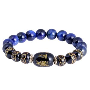 jewever feng shui bracelet tiger eye with agate inscribed in ancient coin pattern porsperity 10mm beads elastic attract wealth and good luck