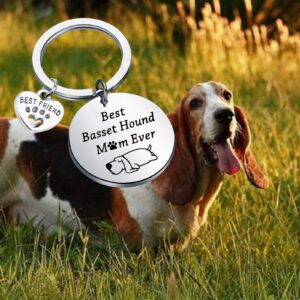 FUSTMW Basset Hound Keychain Best Basset Hound Mom Ever Gifts Dog Mom Owner Basset Hound Gifts Dog Lover Jewelry Gifts (silver)