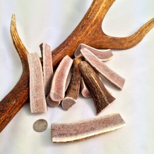 mountain dog chews - petite split elk 6 pack - elk antler dog chew - grade a premium - organic - made in usa - no mess