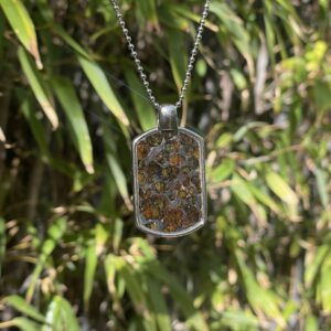 Starborn Sericho Pallasite Meteorite Dog Tag Pendant Sterling Silver