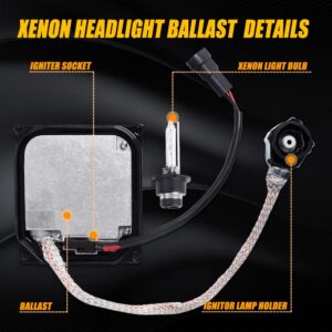 RANSOTO Xenon HID Headlight Ballast Control Unit with Igniter D4S Bulb Compatible with 2006-2012 Lexus IS250 GX460 ES350 GS300 GS350 & Toyota Prius Avalon, Replaces DDLT003 85967-52020 KDLT003