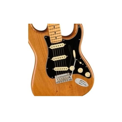 Fender American Professional II Stratocaster - Roasted Pine with Maple Fingerboard