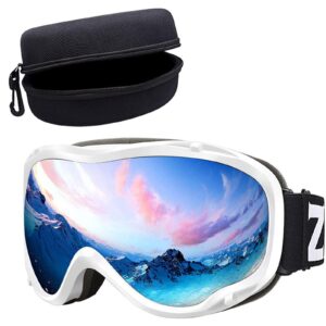 zionor ski goggles with a hard eva protection case