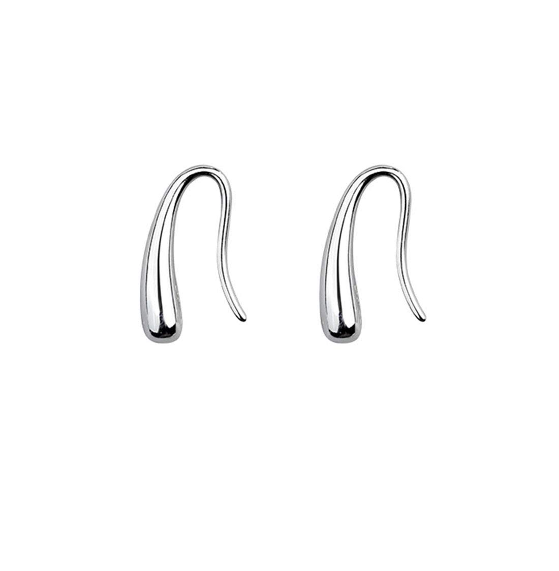 SLUYNZ 925 Sterling Silver Teardrop Earrings Drop for Women Teen Girls Waterdrop Earrings Small Hook Earrings (A-Silver)