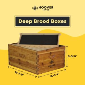 Hoover Hives Fully Assembled Original Bees Wax Coated 10 Frame Langstroth Beehive (2 Deep Boxes, 1 Medium Box)