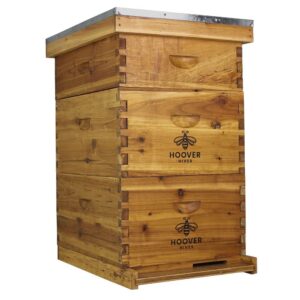 hoover hives fully assembled original bees wax coated 10 frame langstroth beehive (2 deep boxes, 1 medium box)