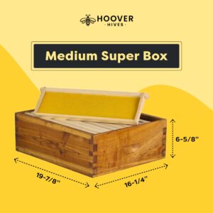 Hoover Hives Fully Assembled Original Bees Wax Coated 10 Frame Langstroth Beehive (2 Deep Boxes, 1 Medium Box)