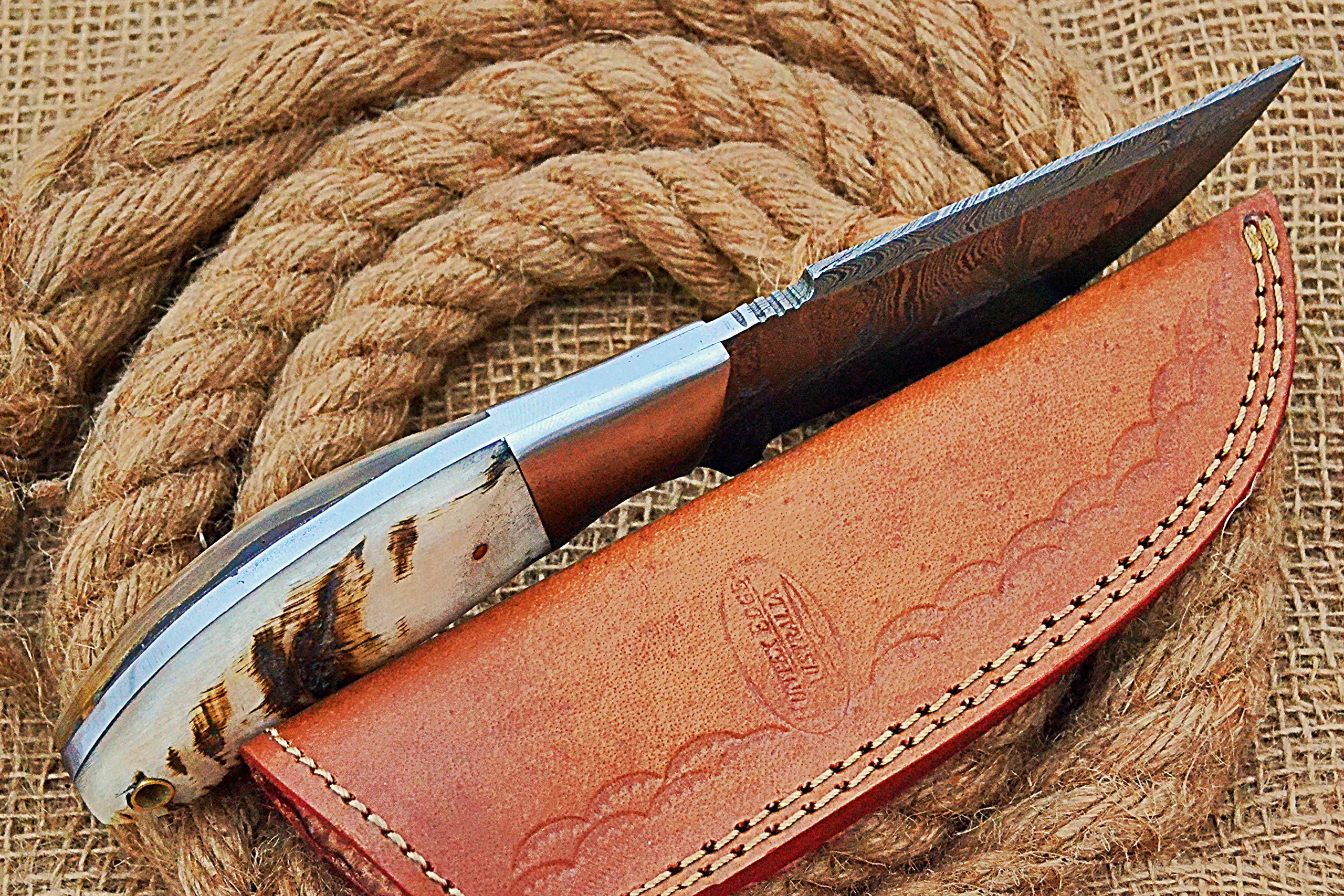 HUNTEX Handmade Hand-Forged Twist Pattern Damascus Steel 9 Inch Long Full Tang Natural Ram Horn Handle Razor Sharp Hunting Camping Boot Knife w/Genuine Leather Pouch