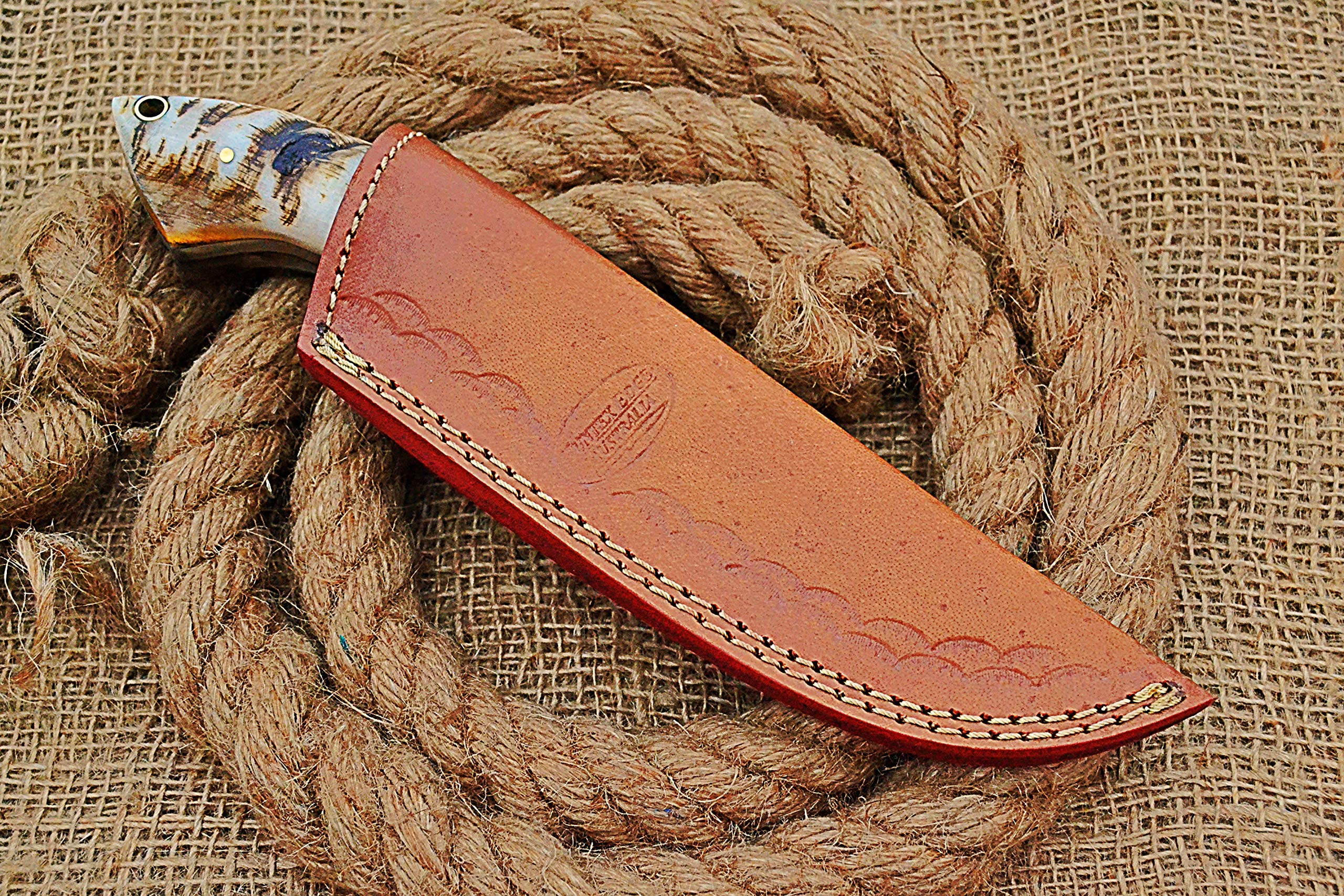 HUNTEX Handmade Hand-Forged Twist Pattern Damascus Steel 9 Inch Long Full Tang Natural Ram Horn Handle Razor Sharp Hunting Camping Boot Knife w/Genuine Leather Pouch