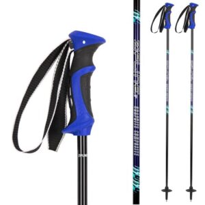 ski poles graphite carbon composite - zipline lollipop u.s. ski team official supplier (blackberry, 48" in./122 cm)