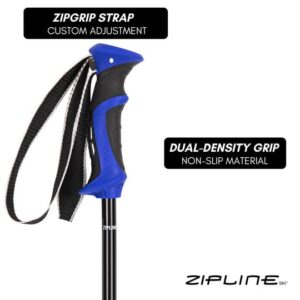 Ski Poles Graphite Carbon Composite - Zipline Lollipop U.S. Ski Team Official Supplier (BlackBerry, 48" in./122 cm)