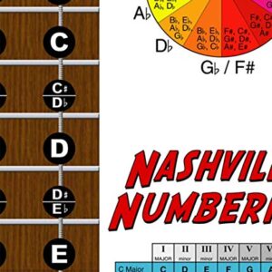 Laminated 4 String Bass Fretboard Notes Chart Nashville Number System & Circle of 5ths Easy Instructional Poster for Beginner for Notebook - A New Song Music 8.5 x 11