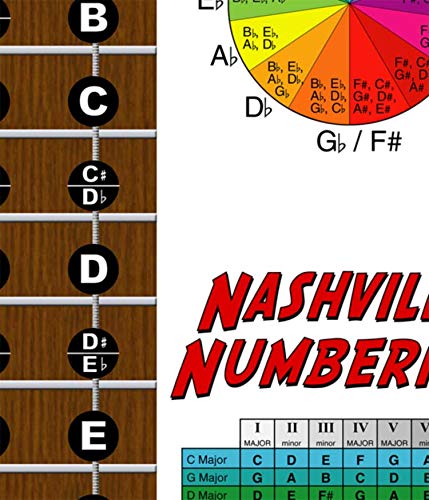 Laminated 4 String Bass Fretboard Notes Chart Nashville Number System & Circle of 5ths Easy Instructional Poster for Beginner for Notebook - A New Song Music 8.5 x 11