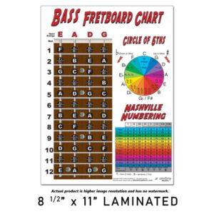 Laminated 4 String Bass Fretboard Notes Chart Nashville Number System & Circle of 5ths Easy Instructional Poster for Beginner for Notebook - A New Song Music 8.5 x 11