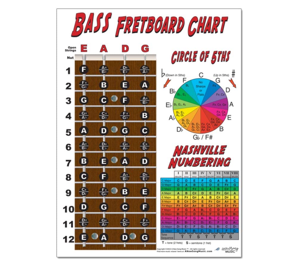 Laminated 4 String Bass Fretboard Notes Chart Nashville Number System & Circle of 5ths Easy Instructional Poster for Beginner for Notebook - A New Song Music 8.5 x 11