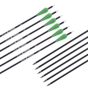 Archery 26Inch Carbon Arrow Practice Hunting Arrows with100 Grain Removable Tips for Compound & Recurve Bow(Pack of 12)