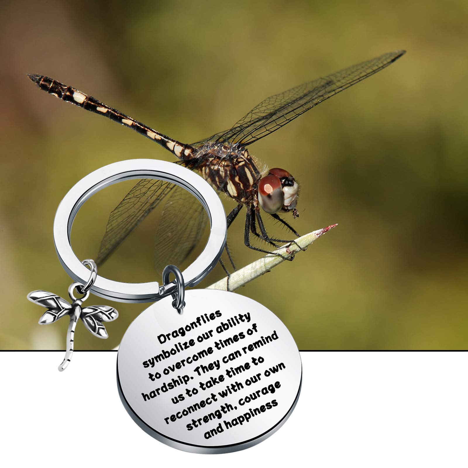 ENSIANTH Dragonfly Keychain Dragonfly Lover Gift Inspiration Gift for Friend Encouragement Gift (Dragonflies Symbolize)