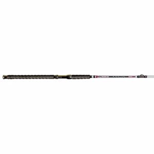 bnm silver cat magnum 10 ft casting rod