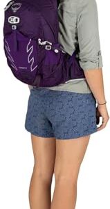 Osprey Tempest 20L Women's Hiking Backpack with Hipbelt, Violac Purple, WM/L