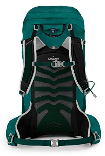 Osprey Tempest 34L Women's Hiking Backpack with Hipbelt, Jasper Green, WXS/S