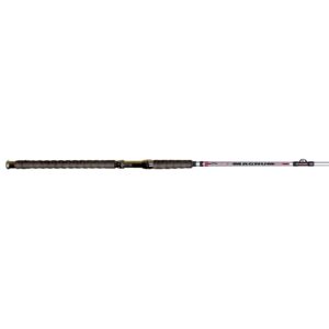 bnm silver cat magnum 10 ft spinning rod