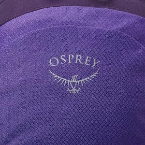 Osprey Daylite Commuter Backpack, Dream Purple