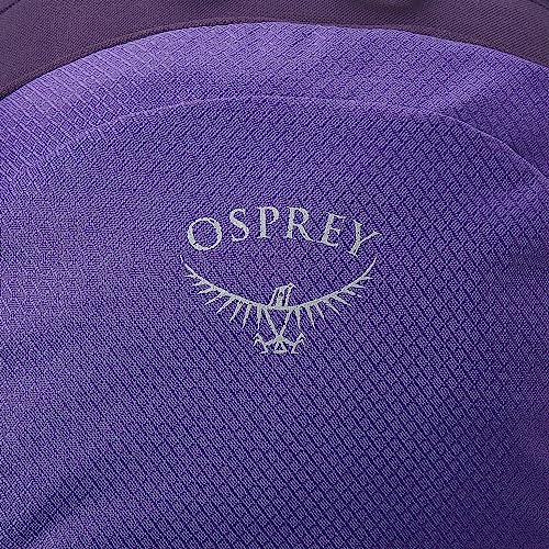 Osprey Daylite Commuter Backpack, Dream Purple