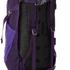 Osprey Daylite Commuter Backpack, Dream Purple