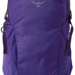 Osprey Daylite Commuter Backpack, Dream Purple