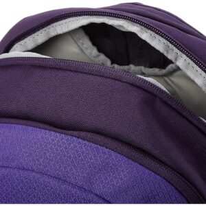 Osprey Daylite Commuter Backpack, Dream Purple