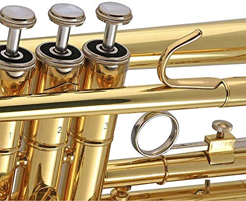 Jiayouy 3 Set B Flat Trumpet Valve Slide Finger Ring with Holder Screw for Trumpet Accessory Replacement