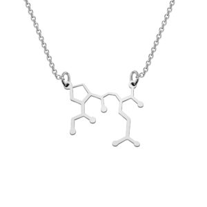 ensianth rett syndrome molecule necklace rett syndrome awareness gift mecp2 gene pendant rett syndrome warrior gift (molecular necklace)