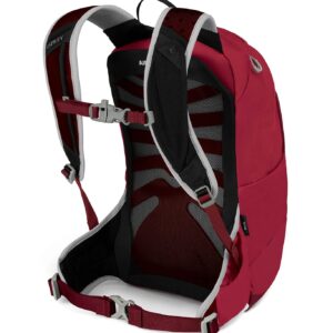 Osprey Talon Jr Boy's Hiking Backpack, Cosmic Red