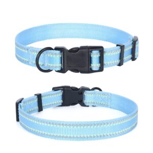 mile high life | nylon night light glow collar for medium dogs | reflective band cat collar | fluorescence self-luminescence strap puppy collar | safe night walk collars for dogs (blue, xs)