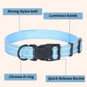 Mile High Life | Nylon Night Light Glow Collar for Medium Dogs | Reflective Band Cat Collar | Fluorescence self-Luminescence Strap Puppy Collar | Safe Night Walk Collars for Dogs (Blue, XS)