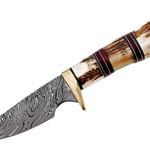 Damascus Steel Hunting Knife - Fixed Blade Knives with Sheath - Firm Grip Handle Made of Stag Horn(ST2)