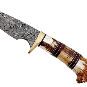 Damascus Steel Hunting Knife - Fixed Blade Knives with Sheath - Firm Grip Handle Made of Stag Horn(ST2)