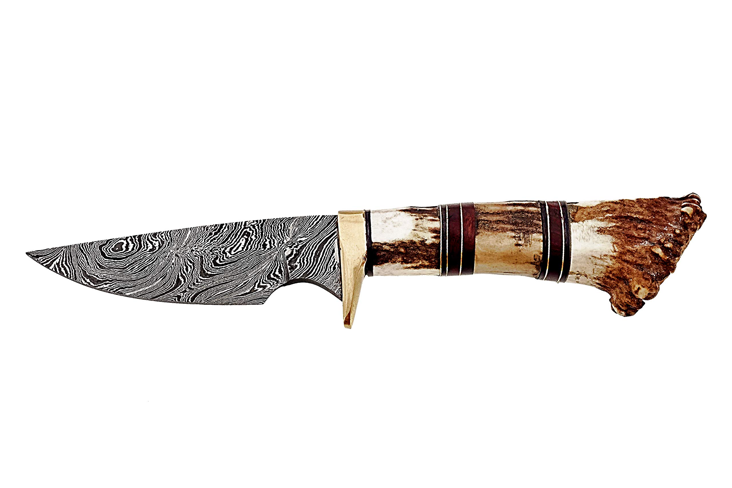 Damascus Steel Hunting Knife - Fixed Blade Knives with Sheath - Firm Grip Handle Made of Stag Horn(ST2)