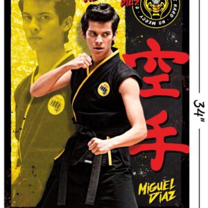 Trends International Cobra Kai - Miguel Wall Poster, 22.37" x 34.00", Unframed Version