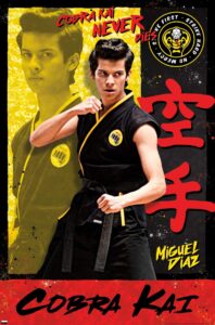 trends international cobra kai - miguel wall poster, 22.37" x 34.00", unframed version