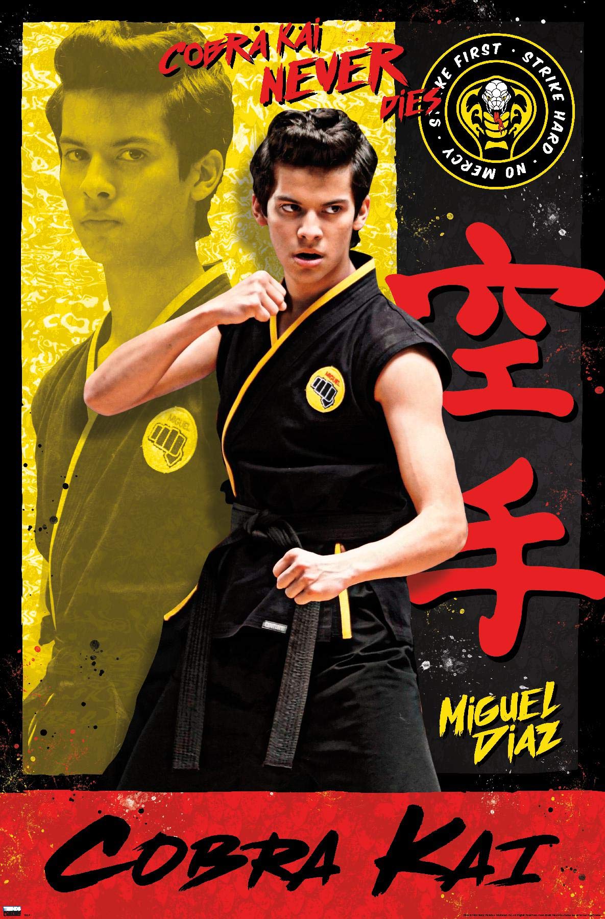 Trends International Cobra Kai - Miguel Wall Poster, 22.37" x 34.00", Unframed Version