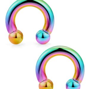 Ftovosyo PA Ring Internally Threaded Rainbow Circular Barbells Horseshoe Large Septum Ring Ear Gauges Earrings 8G 3mm 12mm 1/2" 316L Surgical Steel Pierced Body Jewelry for Women Men