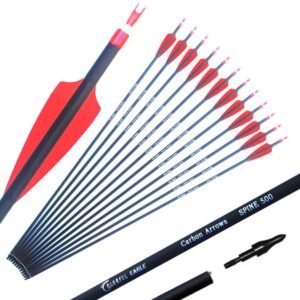 colorful eagle 12pcs/lot carbon arrow outdoor hunting bows arrows for recurve compound bow archery hunting target parctice accessories (30)