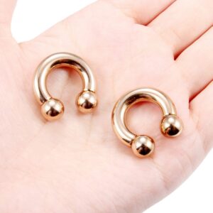 Ftovosyo 2Pcs PA Ring Horseshoe Circular Barbell 316L Surgical Steel Internally Threaded Large Septum Ring Ear Gauges Earrings 4G 5mm Pierced Body Jewelry for Women 12mm 1/2"