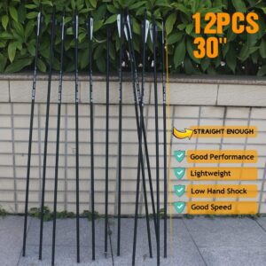 E-ROCK Carbon Archery Arrows, 30 inch 7.8mm Spine 500 with Removable Tips, Hunting and Target Practice Arrows for Compound Bow and Recurve Bow,12 Pcs