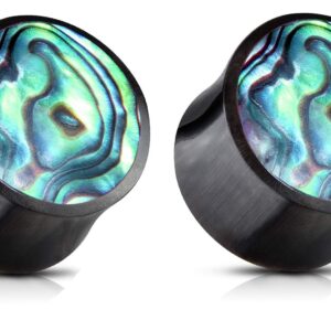 ZAYA BODY JEWELRY Pair Abalone Shell Organic Buffalo Plugs Ear Gauges 2g 0g 00g 7/16 1/2 9/16 5/8 3/4 inch (2g 6mm)