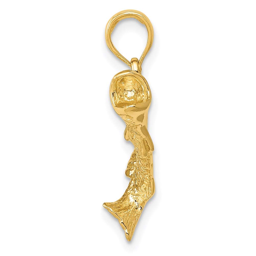 14K Gold Polished Textured Bass Fish Pendant style K5362